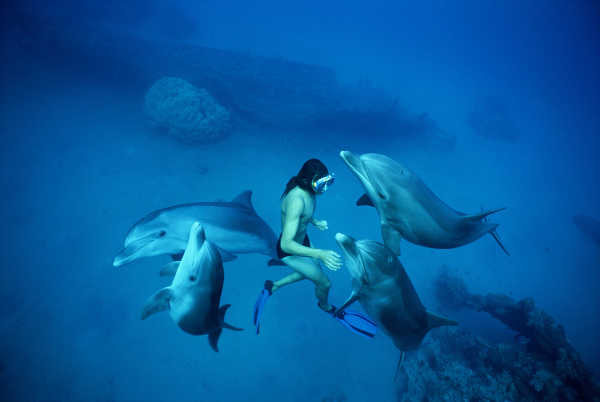 La profunda conexión entre el hombre y el delfín | HuffPost