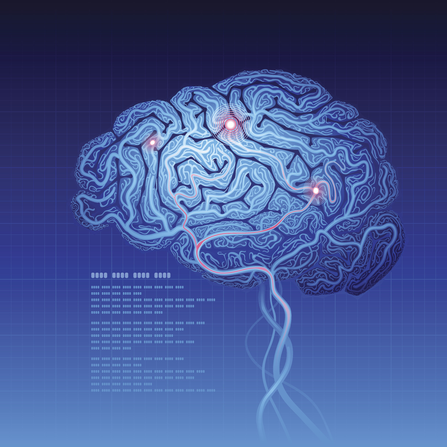 3D Brain Map: New 'BigBrain' Atlas Called Most Detailed Ever Created ...