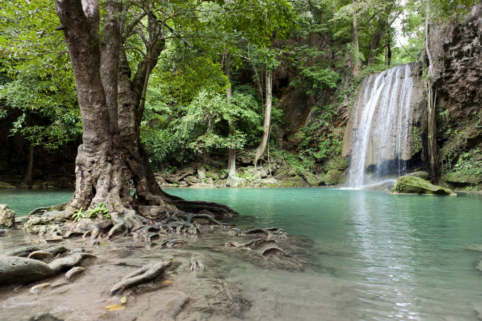 GPS Guide Rainforest Scenes That ll Make You Feel Instantly Refreshed