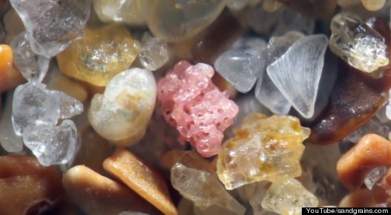 You Just Won't Believe What Sand Looks Like Under A Microscope ...