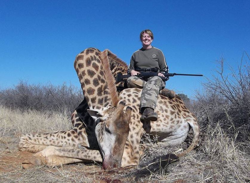Trophy Hunting Woman Shoots Giraffe Poses Triumphantly With Corpse