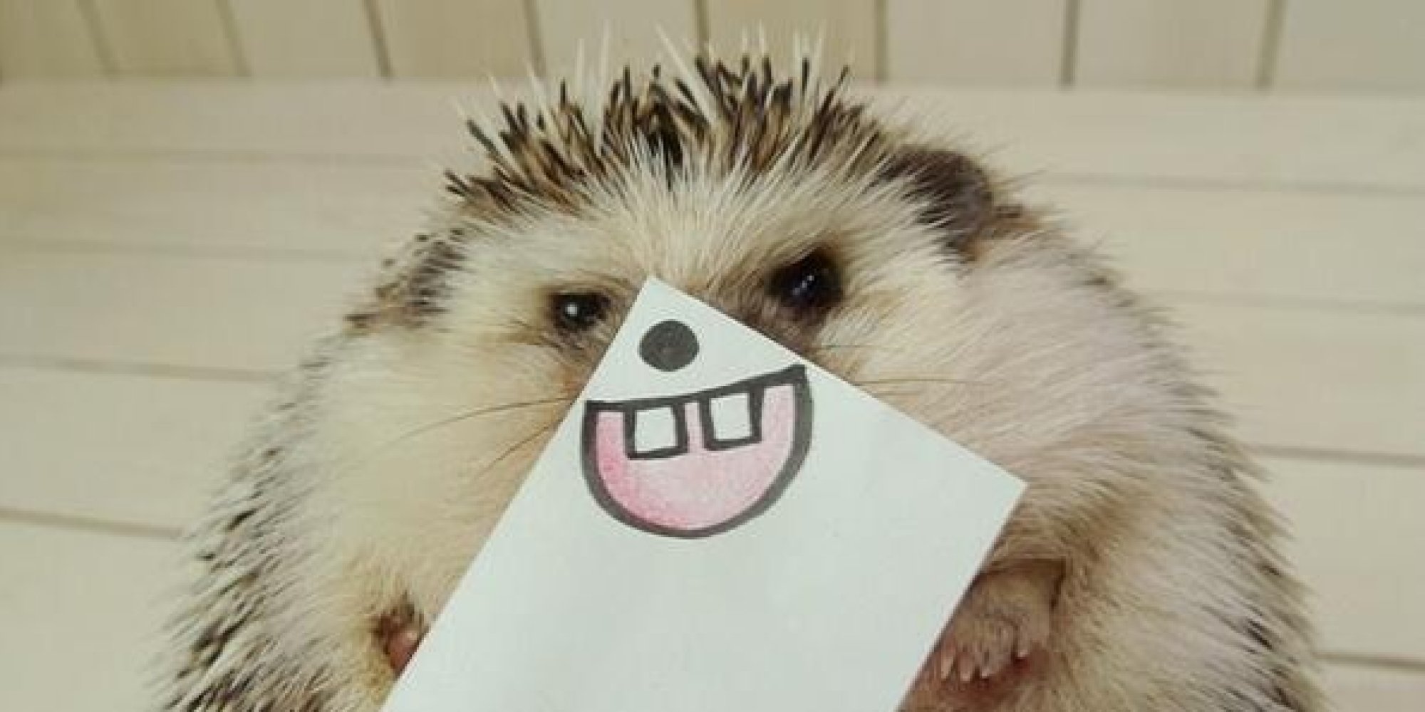 Impossibly Cute Hedgehog Poses With Silly Masks Made Just For Him ...