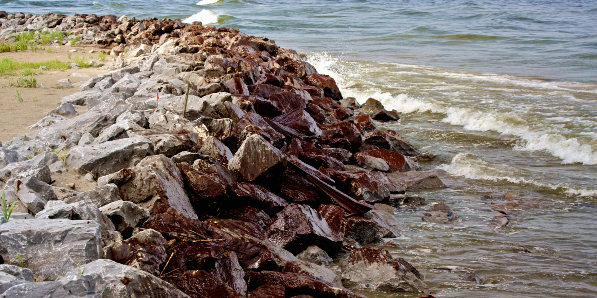 Four Years After The BP Oil Spill Hope For A Full Recovery In The Gulf