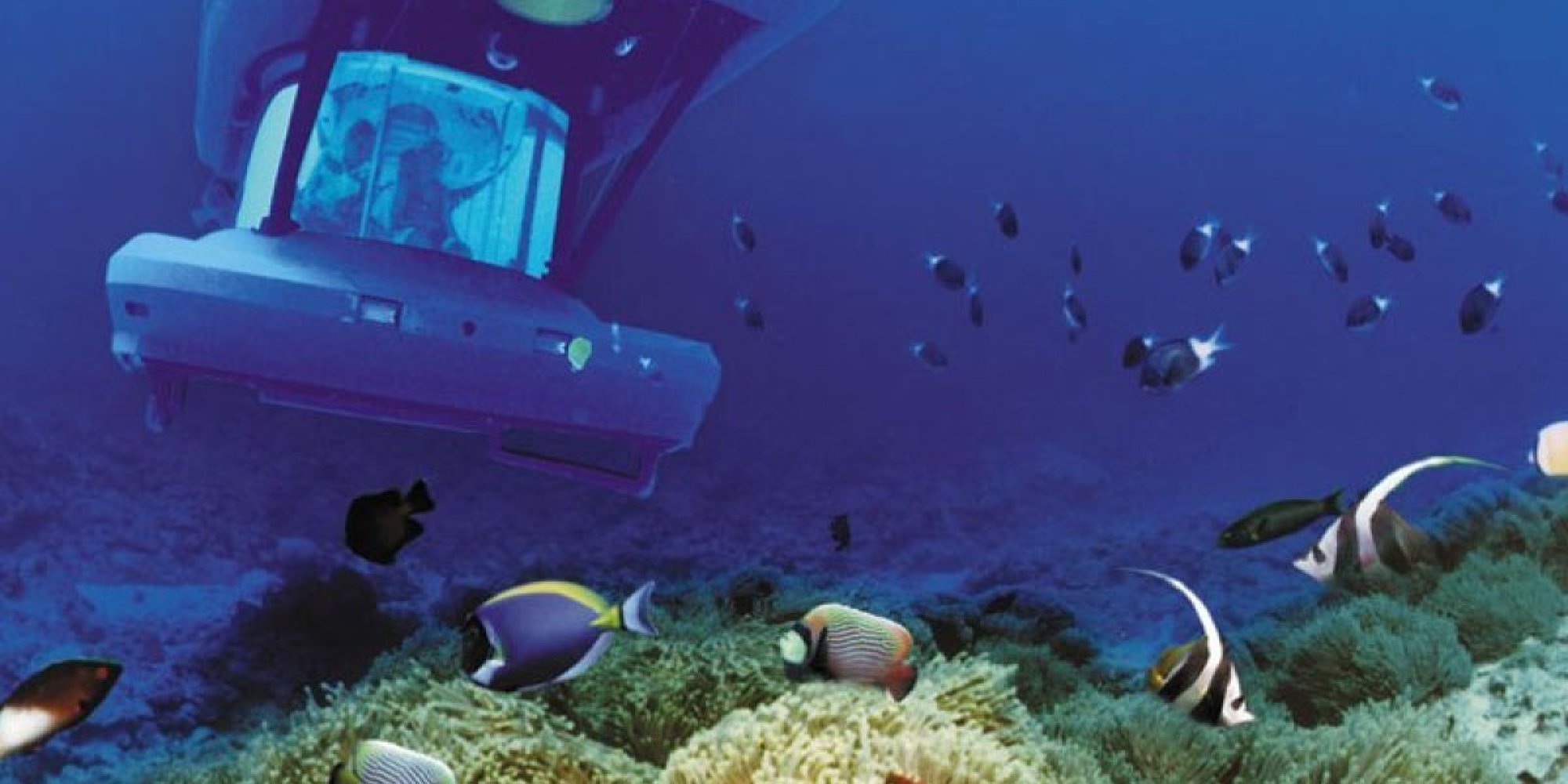 These 6 Deep-Sea Sub Tours Offer Unique Views of the Underwater World ...