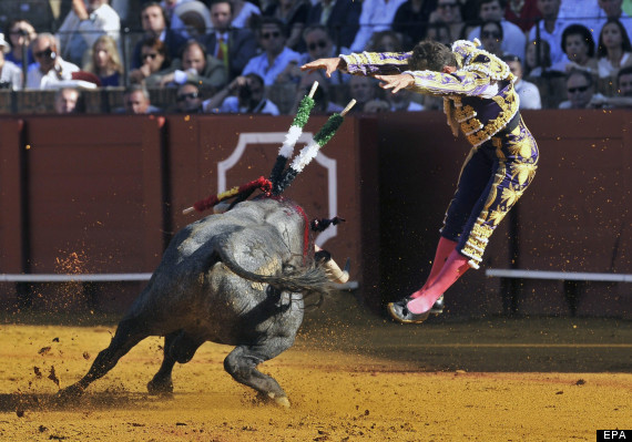Pictures Of The Day: Live Photos From Monday 12th May 2014 | HuffPost UK