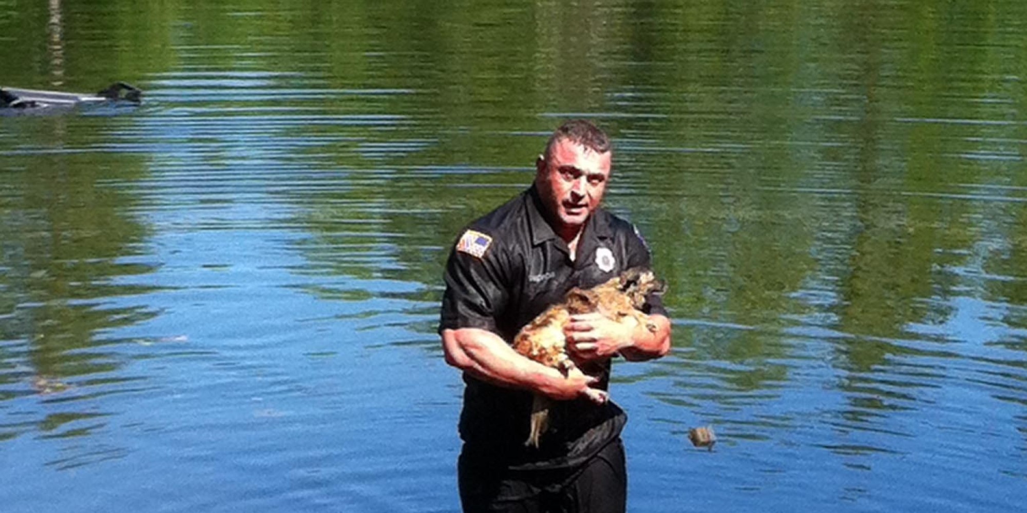 Police Officer Dives Into Lake To Rescue Dog From Submerged Truck ...