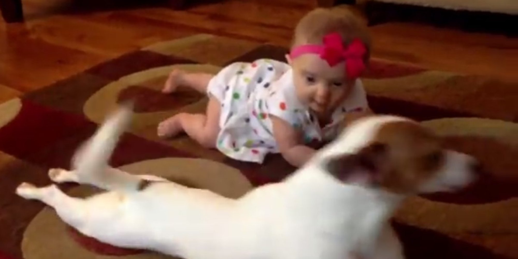 This Talented Dog Gives Baby An Adorable Crawling Lesson | HuffPost