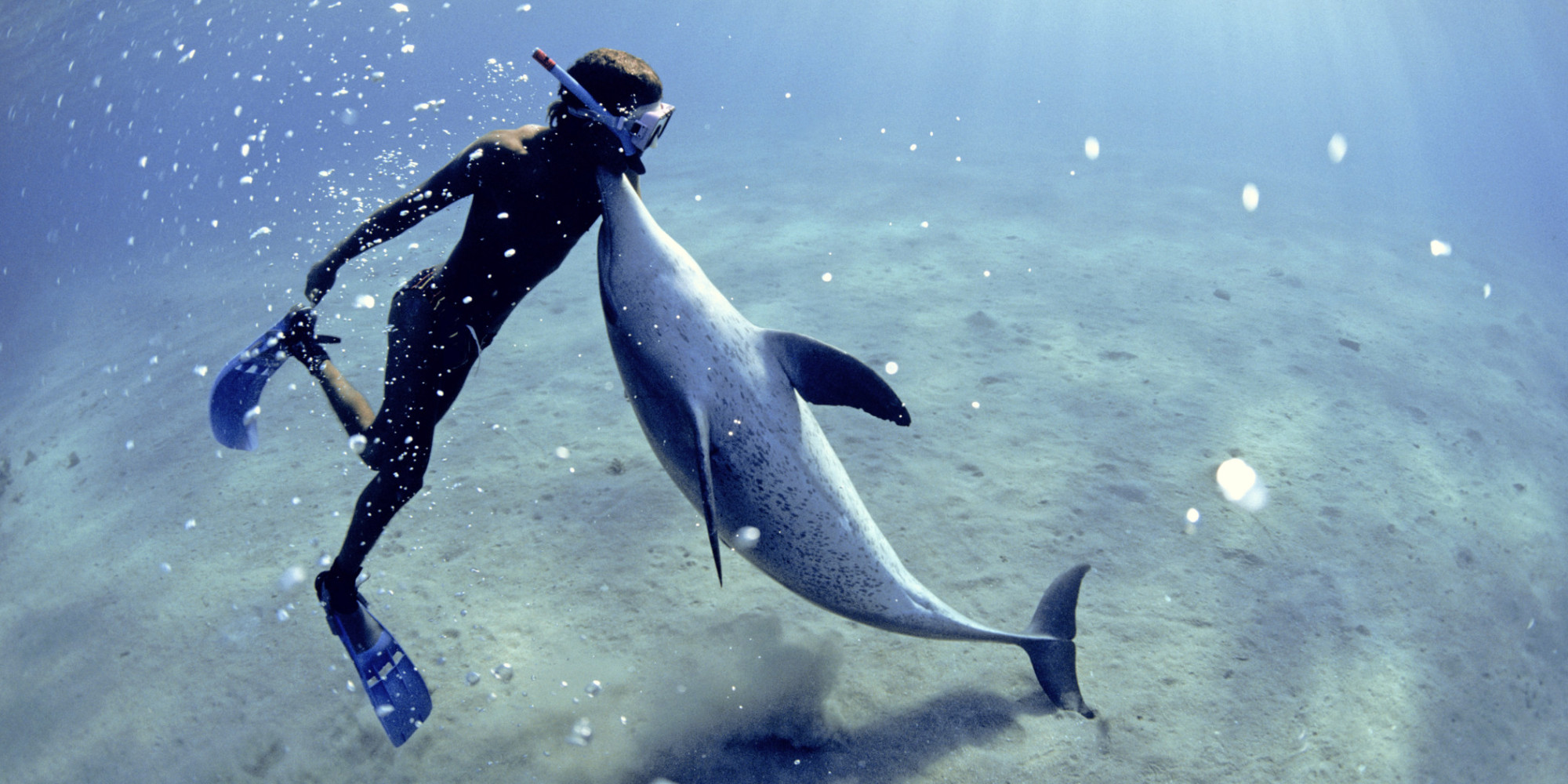 La profunda conexión entre el hombre y el delfín | HuffPost