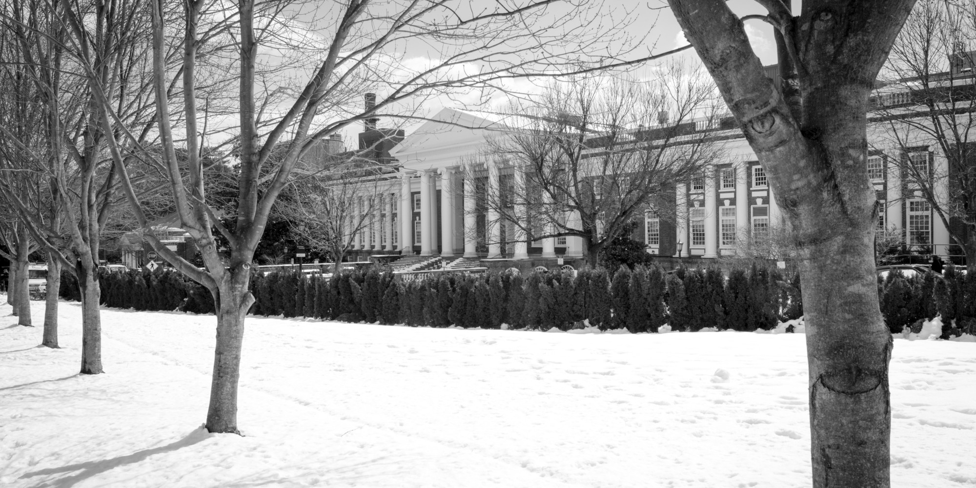 Homecoming | HuffPost