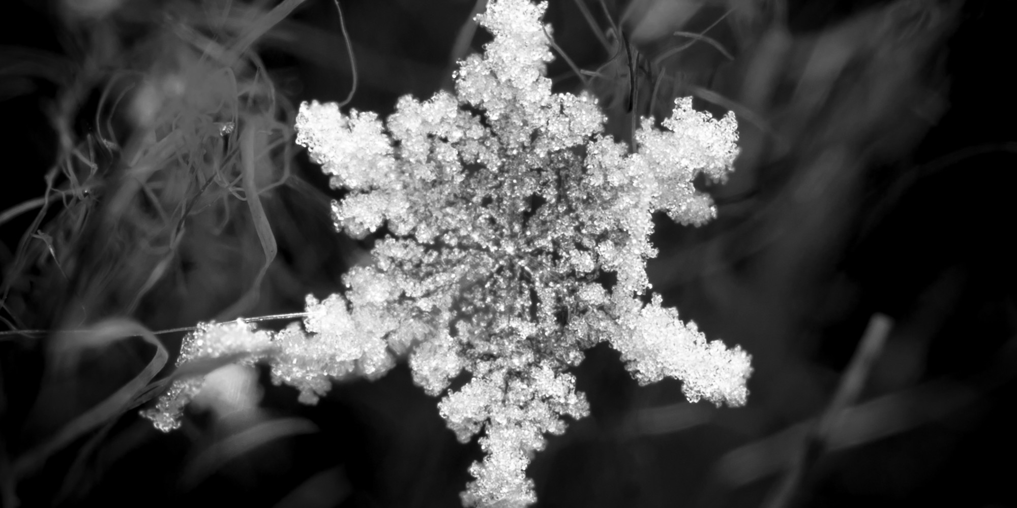 Snowflakes Come In 35 Different Shapes Scientists Say HuffPost
