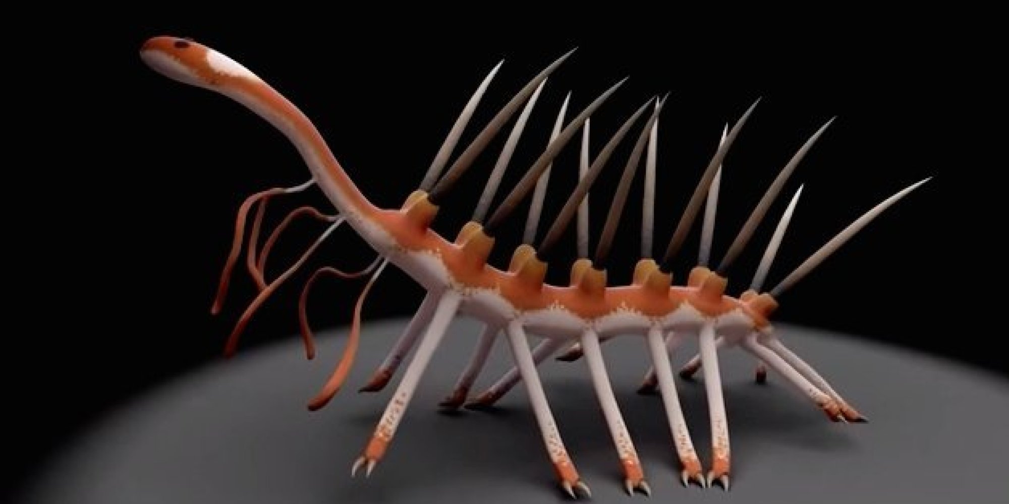 Scientists Finally Figure Out Which End Of This Freaky 'Smiling' Worm ...