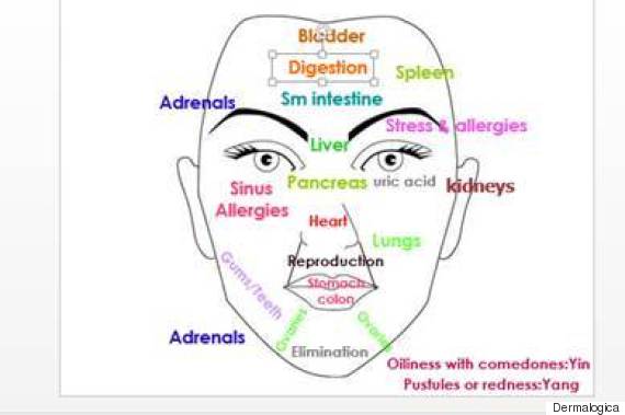 Face Mapping Zones