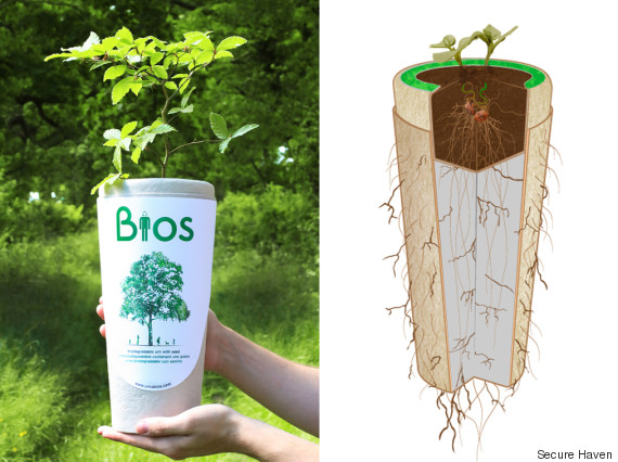 Biodegradable Urn Gives You Life After Death... By Growing A Tree With ...