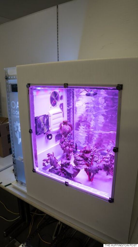 Food Computer Set To Alleviate Global Food Crisis Using 'Climate ...