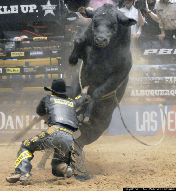 Terrifying Moment As 1500lb Bull Takes On Rodeo Rider At Ty Murral ...
