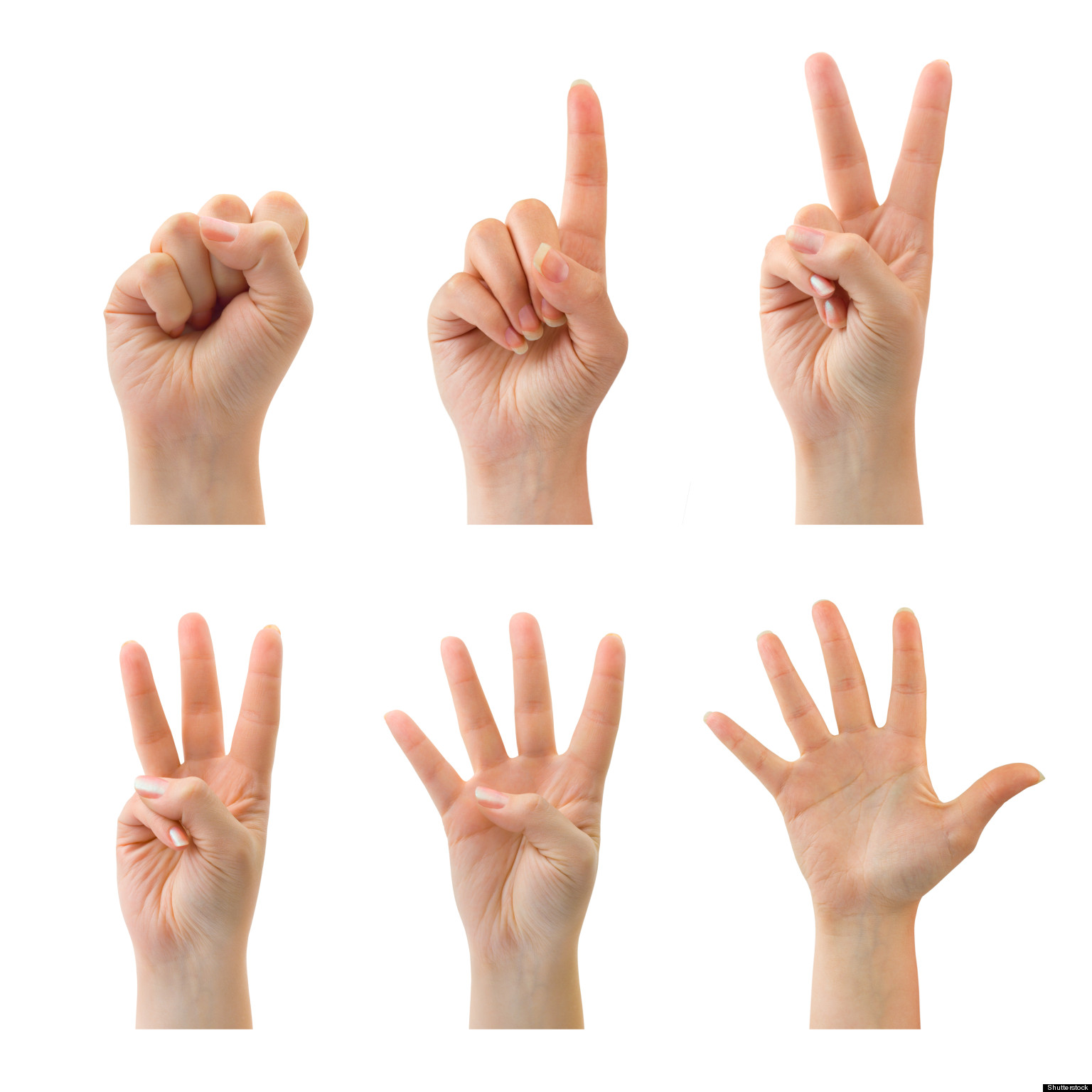 What s Halfway Between 1 And 9 Kids And Scientists Say 3 HuffPost