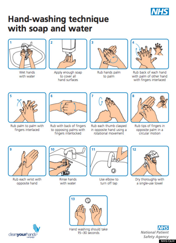 Some Hands Are 'Dirty Like Toilets' Study Suggests (TIPS For Hand ...