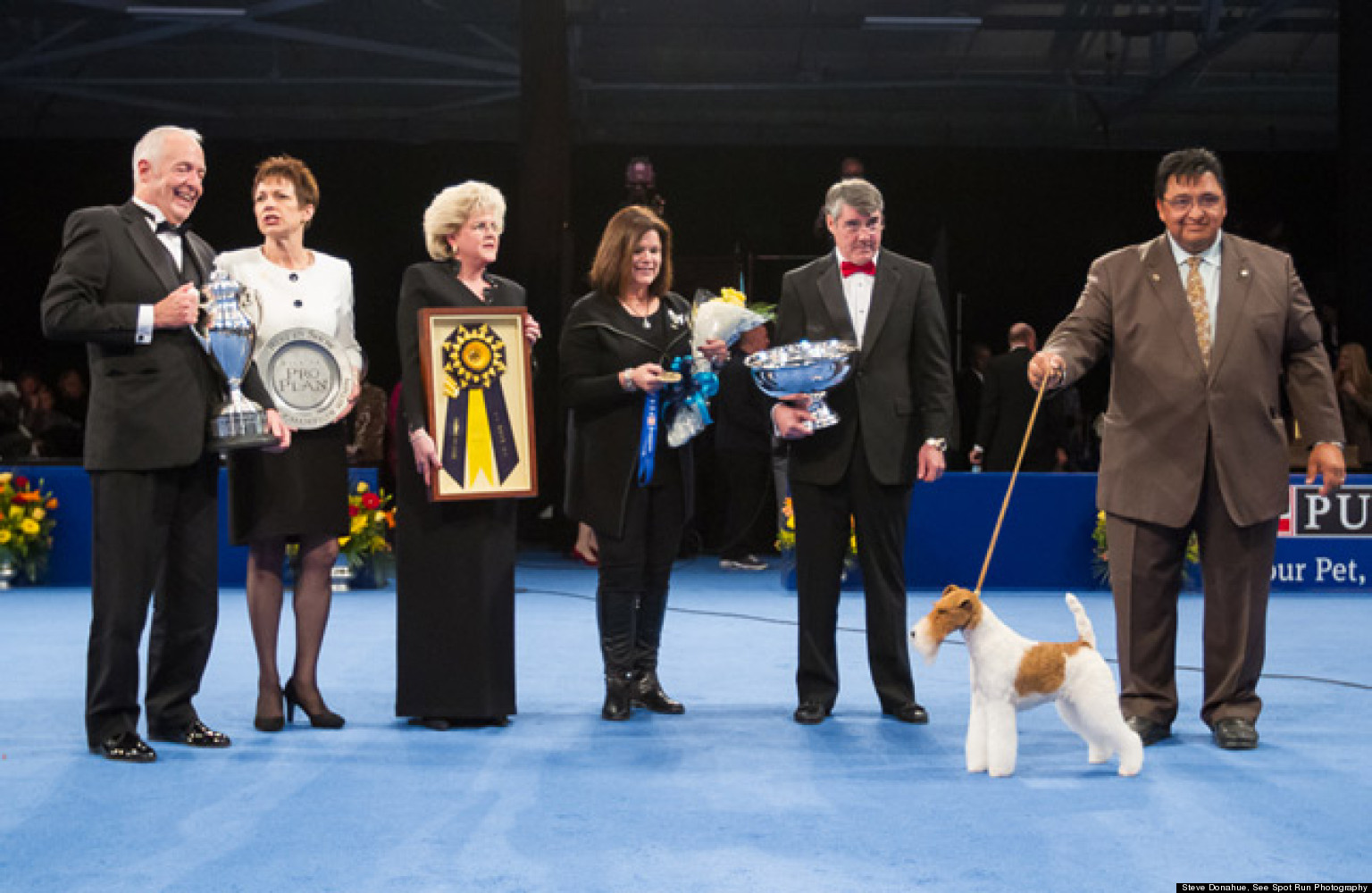 2012 National Dog Show Winners Of Purina s Competition Announced 2012-national-dog-show-winners-of-purina-s-competition-announced