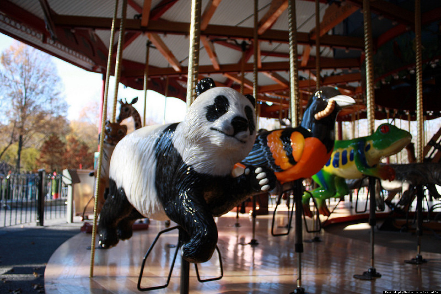 Toledo Zoo Carousel