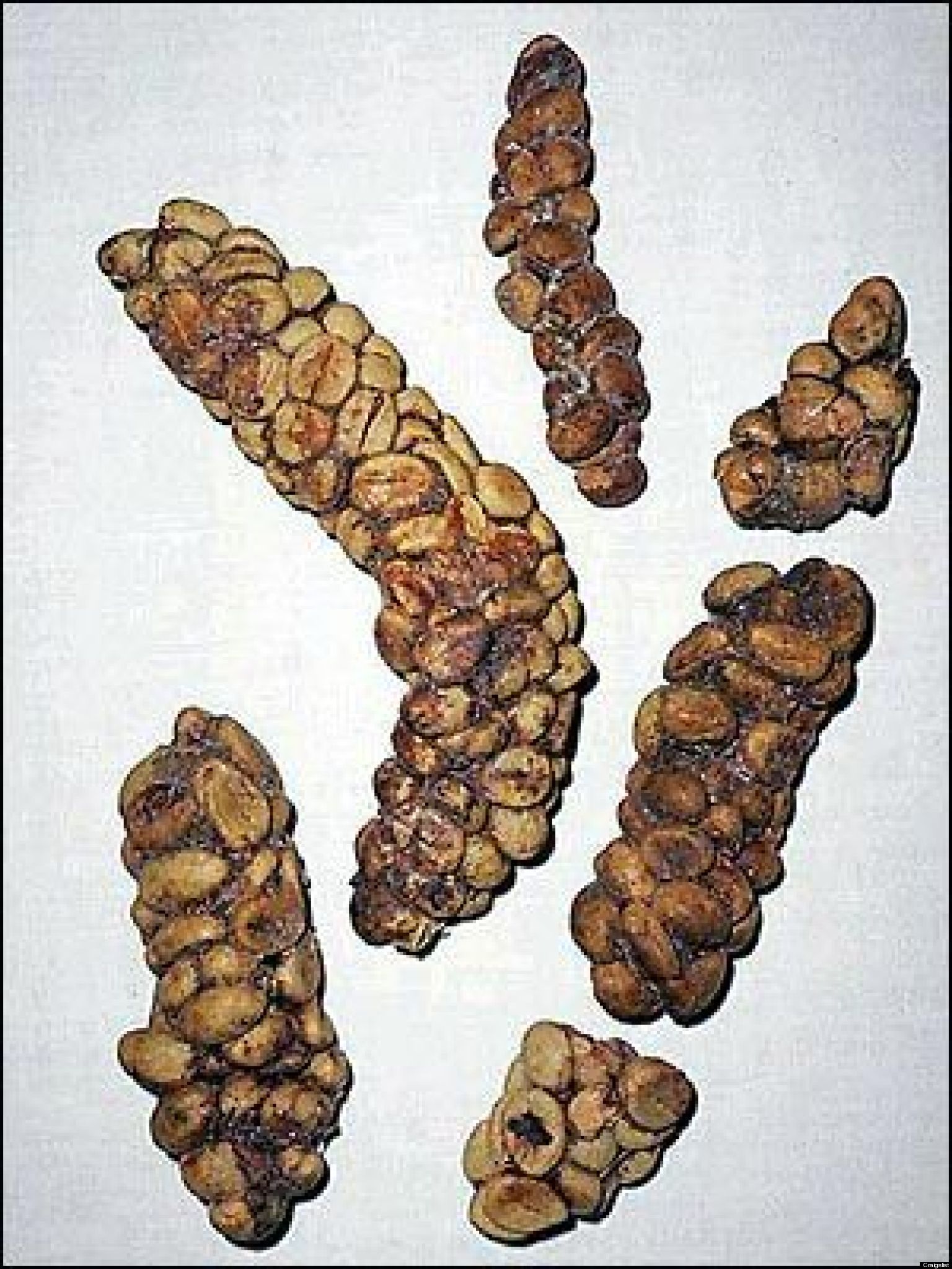 Human Poop Coffee Kopi Luwak Style For Sale On Craigslist HuffPost