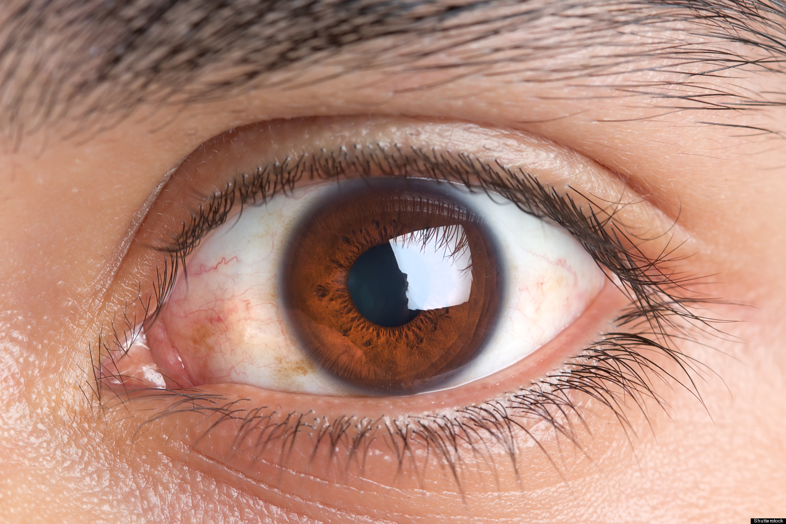 Why Do We Blink So Much Blinking Provides Mental Rest New Research Why Do We Blink So Much Blinking Provides Mental Rest New Research