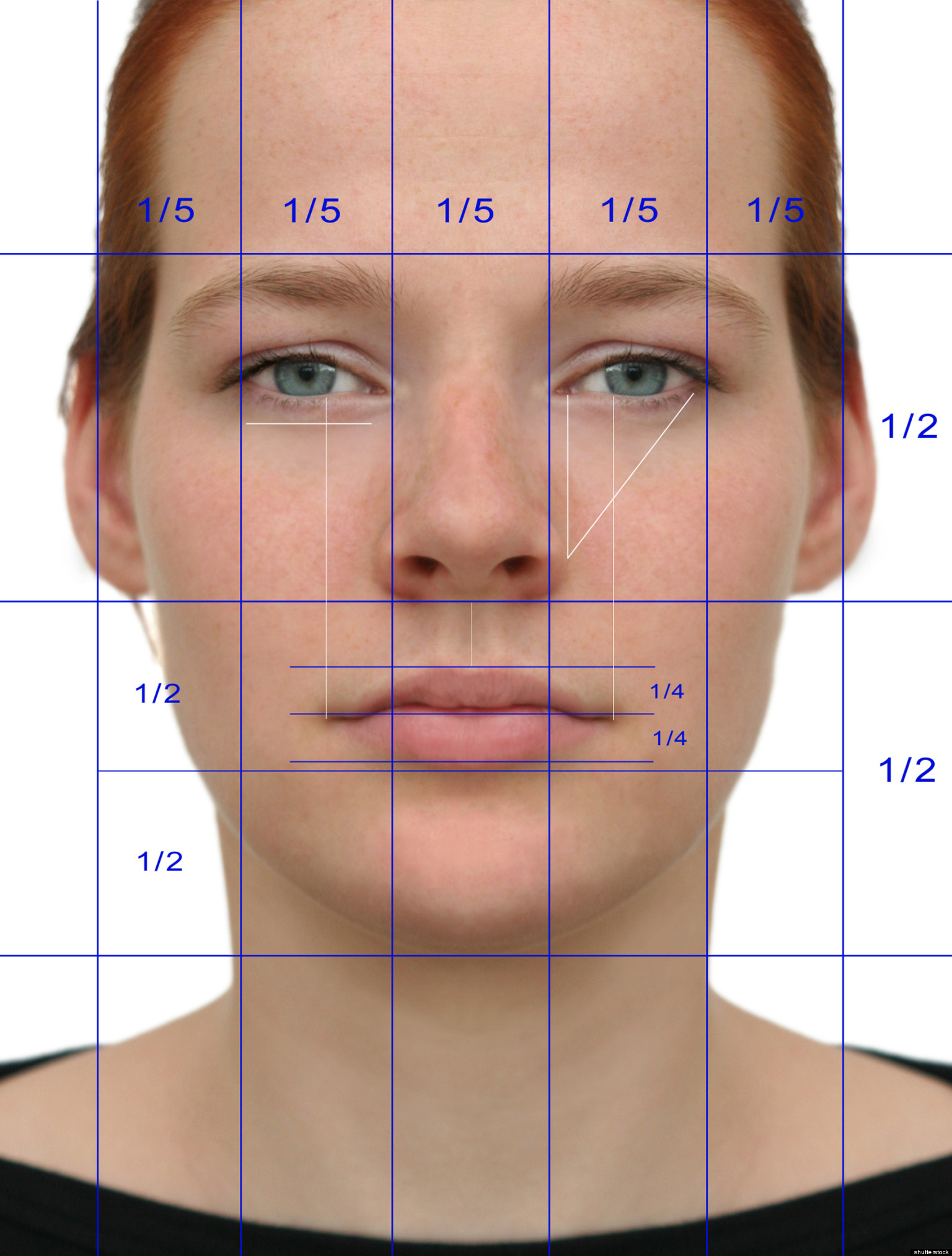 Beauty Studies Show Ratios Explain Human Attractiveness VIDEO HuffPost
