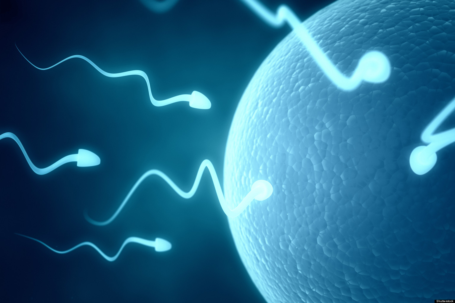 10-things-you-need-to-know-before-you-test-your-sperm-count-huffpost-uk